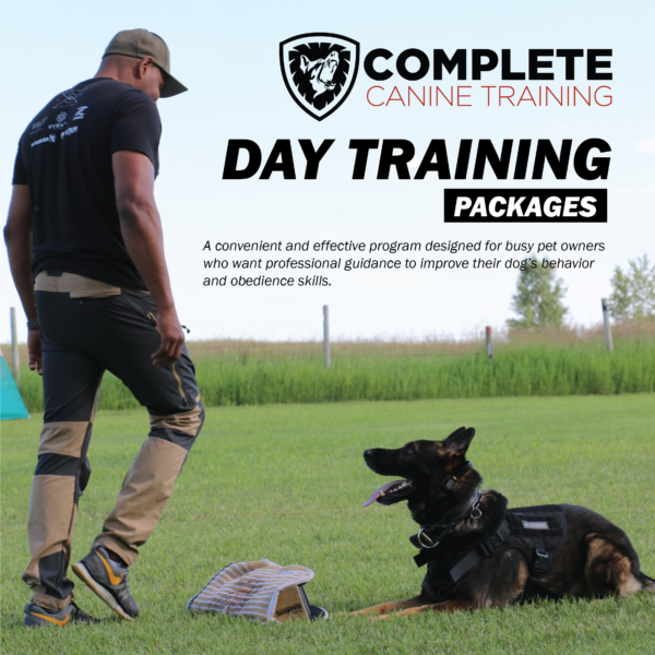 Complete Canine Training – Real Dog Training