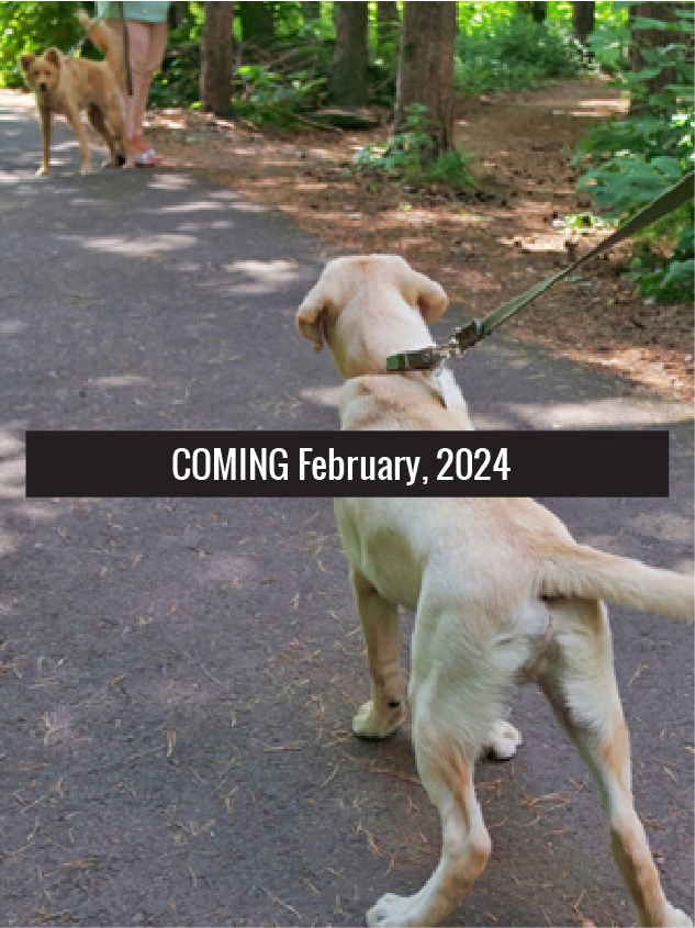 Complete Canine Training – Real Dog Training