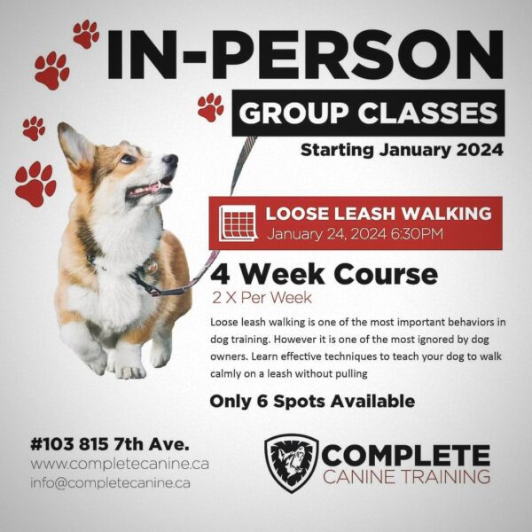 Complete Canine Training – Real Dog Training