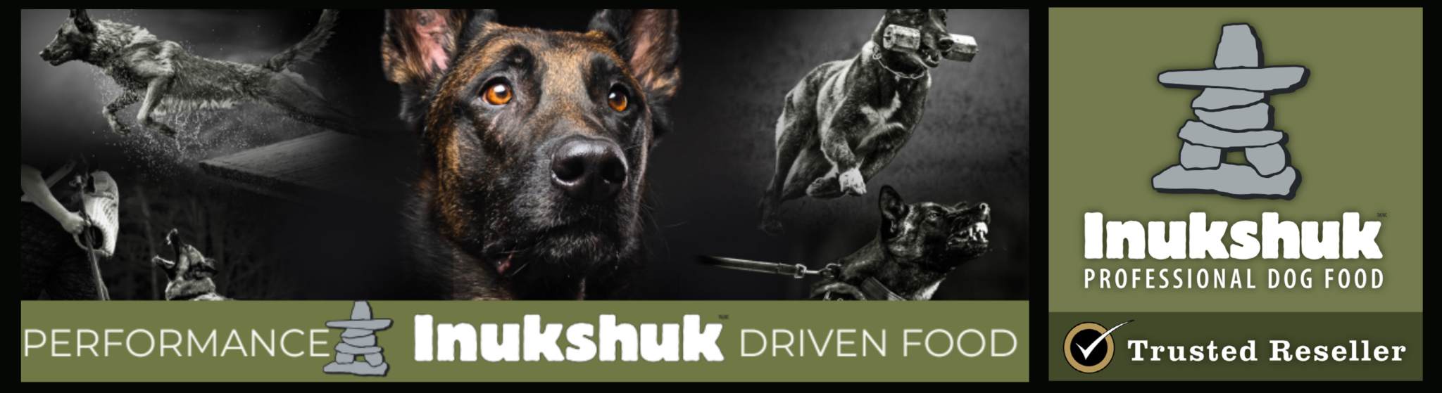 Complete Canine Training – Real Dog Training