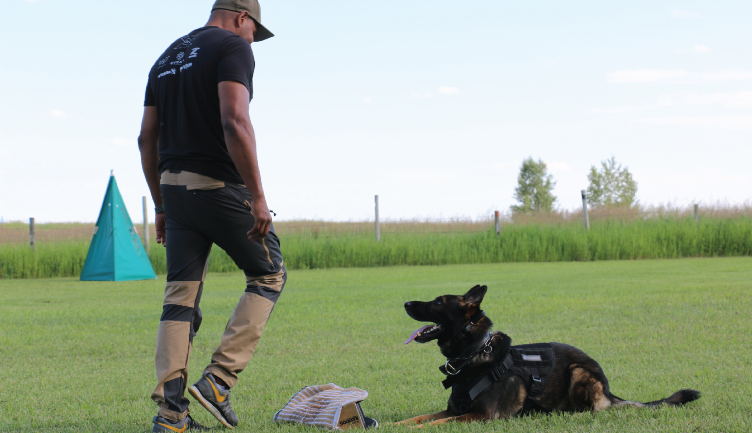 Day Training – Complete Canine Training